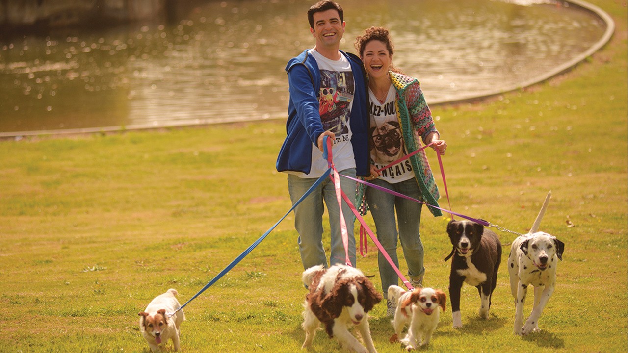 Mr Predictable (2016) | MUBI