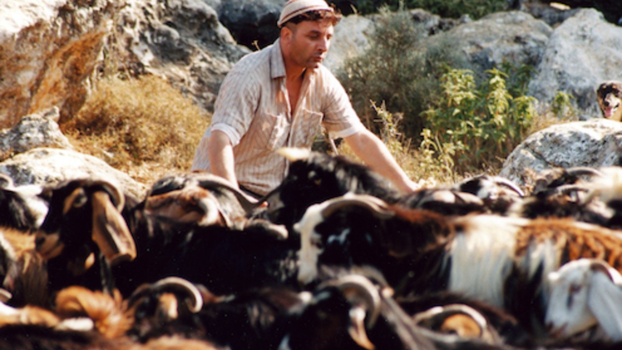 The Milky Way (1997) | MUBI