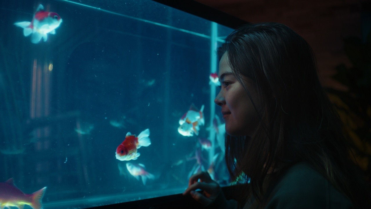 Lucky Fish (2021) | MUBI