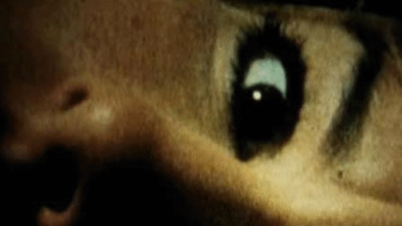 Run Amok (1994) | MUBI