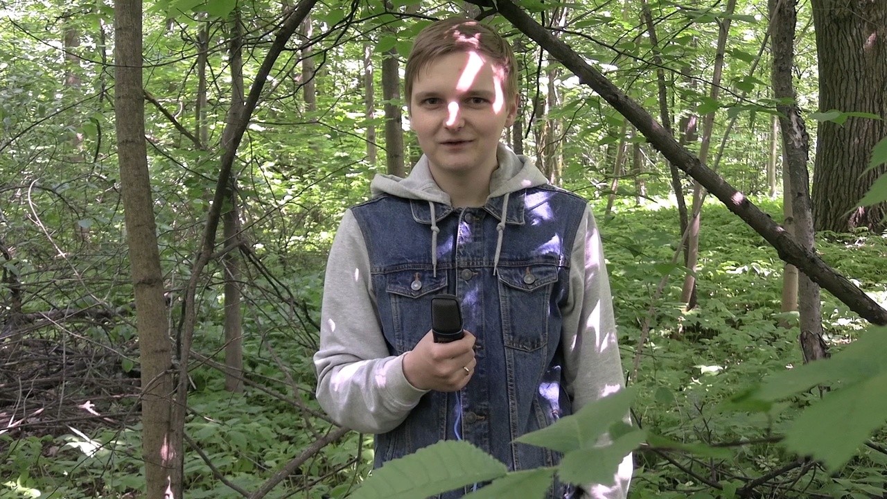 Forest Monster (2021) | MUBI