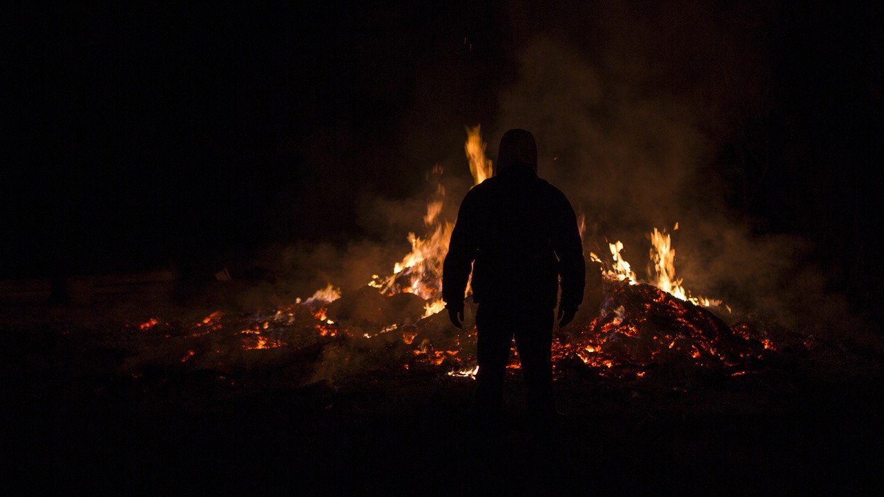 Alien Food (2023) | MUBI