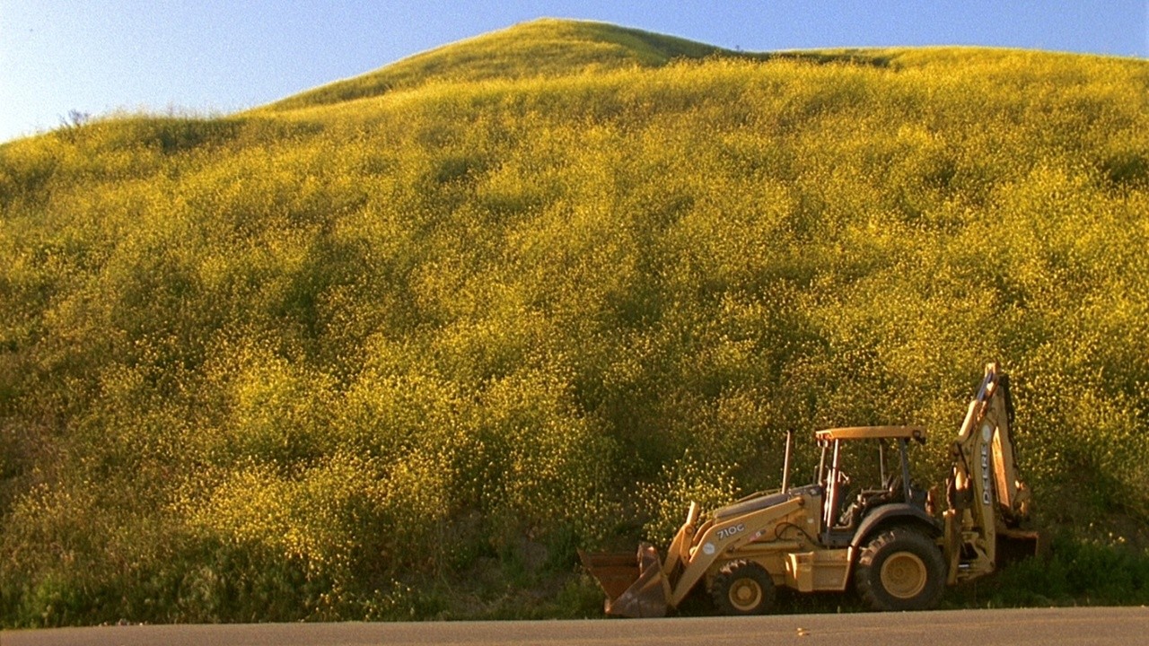 Malibu (2022) | MUBI