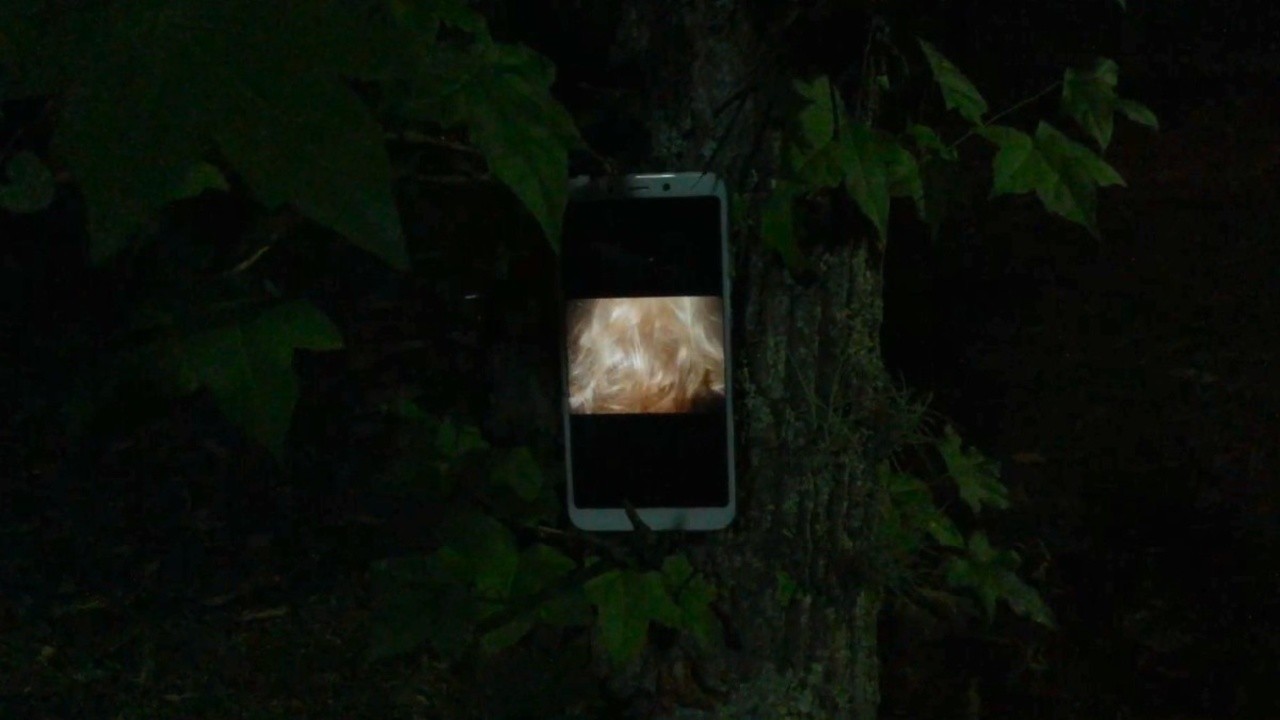 Almost Absent (2022) | MUBI