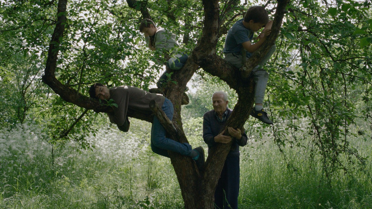 Wind, Talk to Me (2024) | MUBI