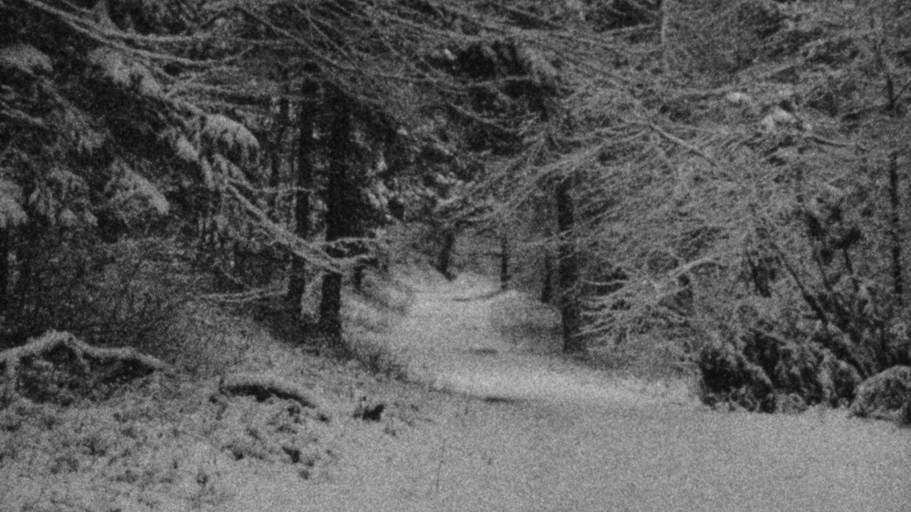 GPS Signal Lost (2022) | MUBI