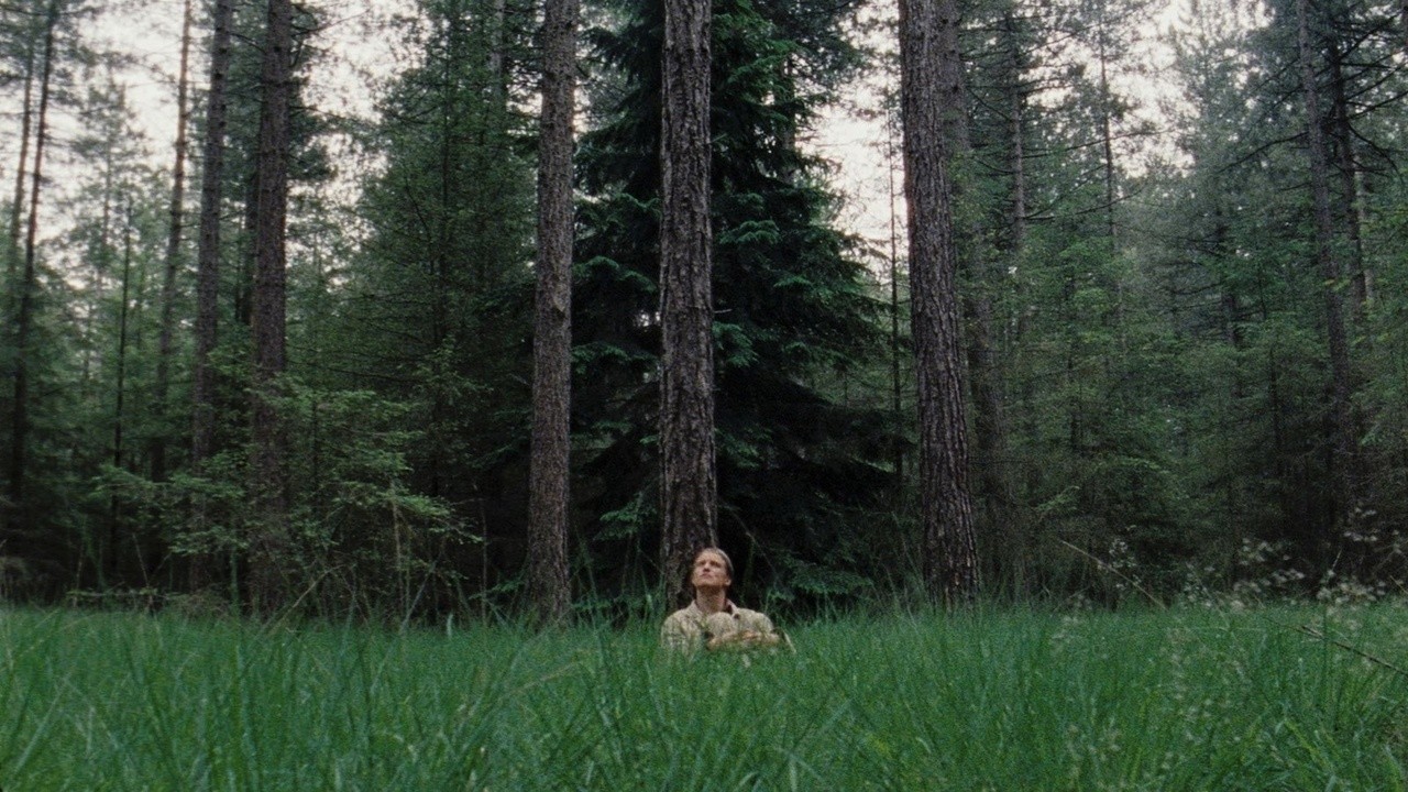 Undergrowth (2022) | MUBI