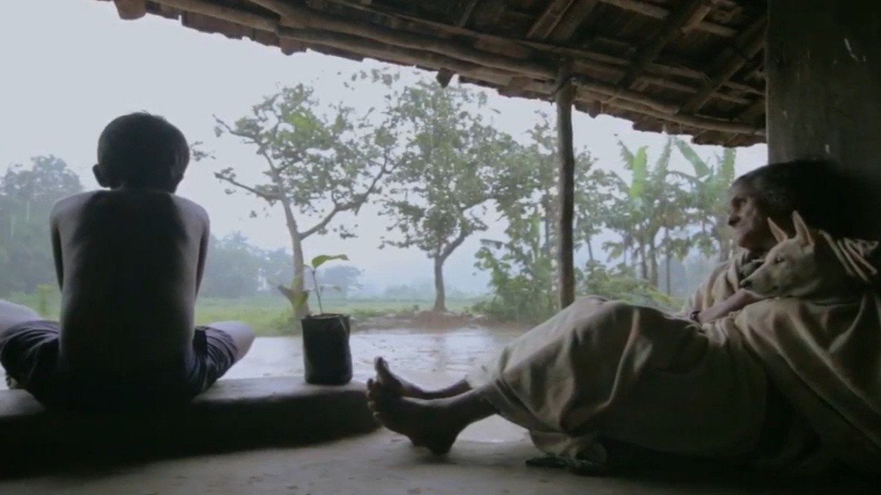 Kanthan: The Lover of Colour (2018) | MUBI