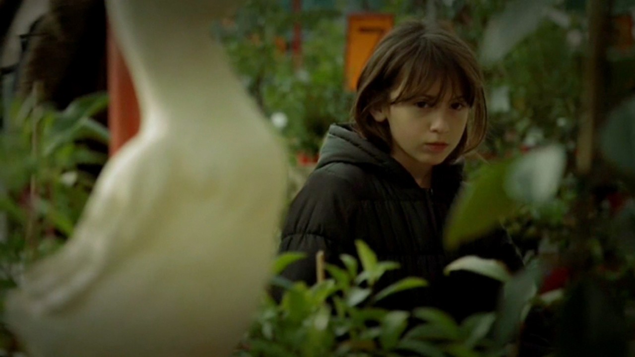 The Sleeping Plot 2013 Mubi