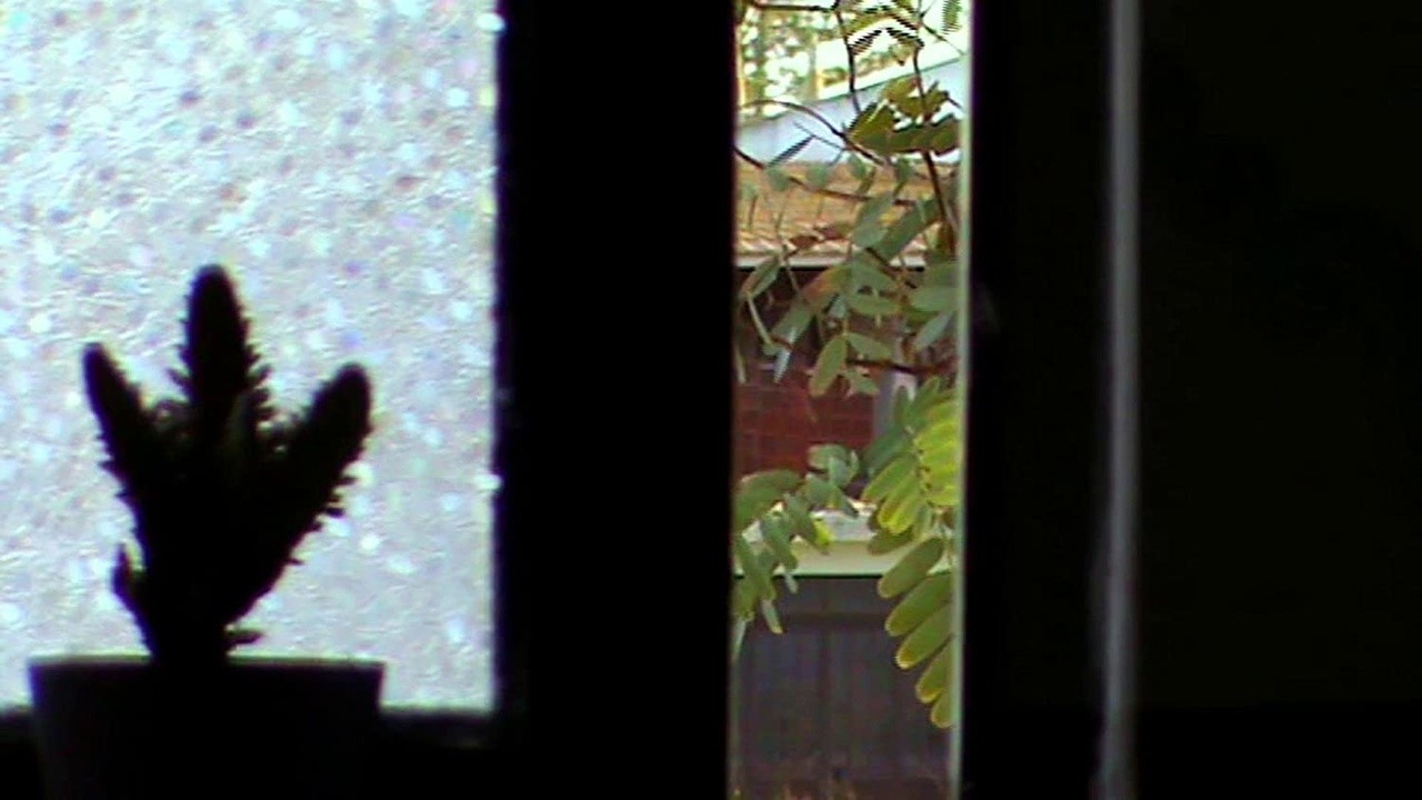 From a Room to the Cinema to Outside (2022) | MUBI