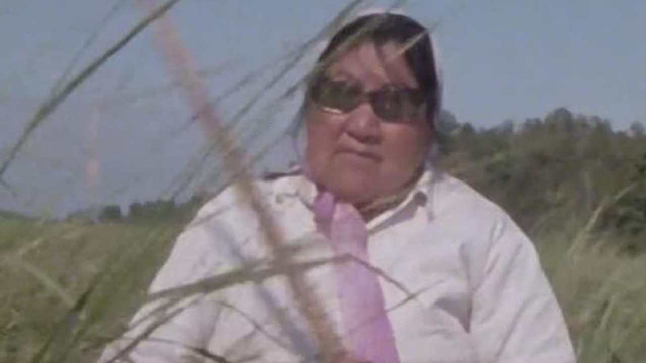 Canada Vignettes: Wild Rice Harvest Kenora (1979) | MUBI