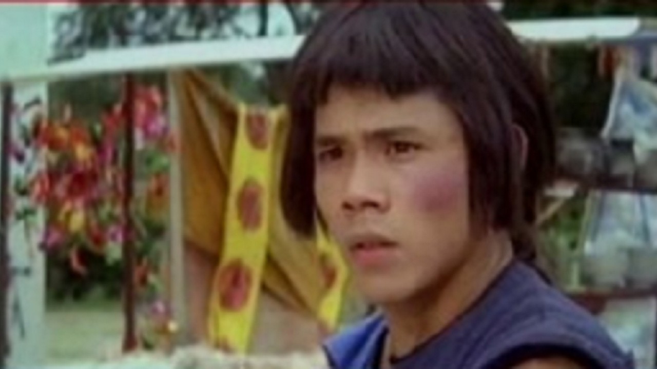 Fearless Master Fighter (1979) | MUBI