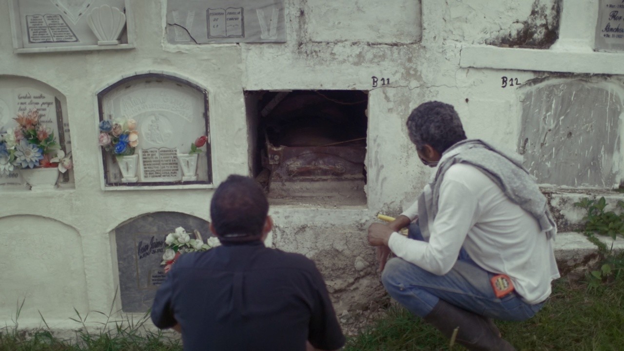 Blue Mountain (2022) | MUBI