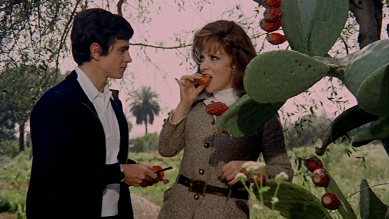 That Splendid November (1969) | MUBI