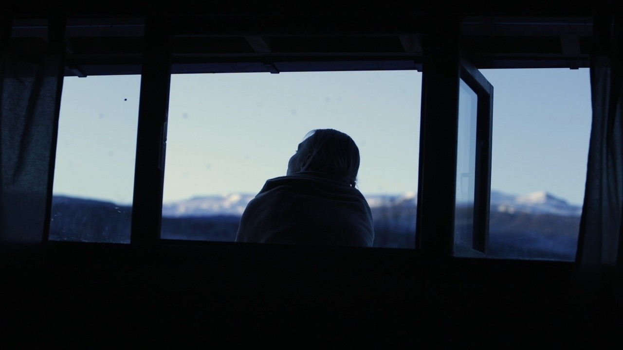 All Birds Return (2022) | MUBI