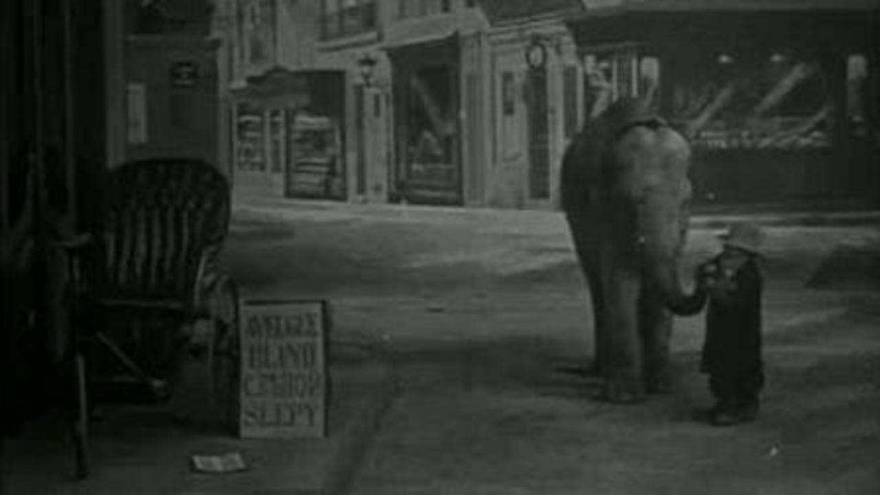 Tiny Tim and the Adventures of His Elephant (1913) | MUBI