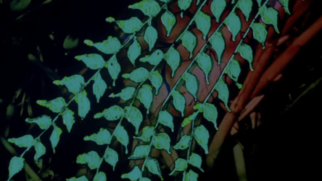 Dynamic Poem (1982) | MUBI