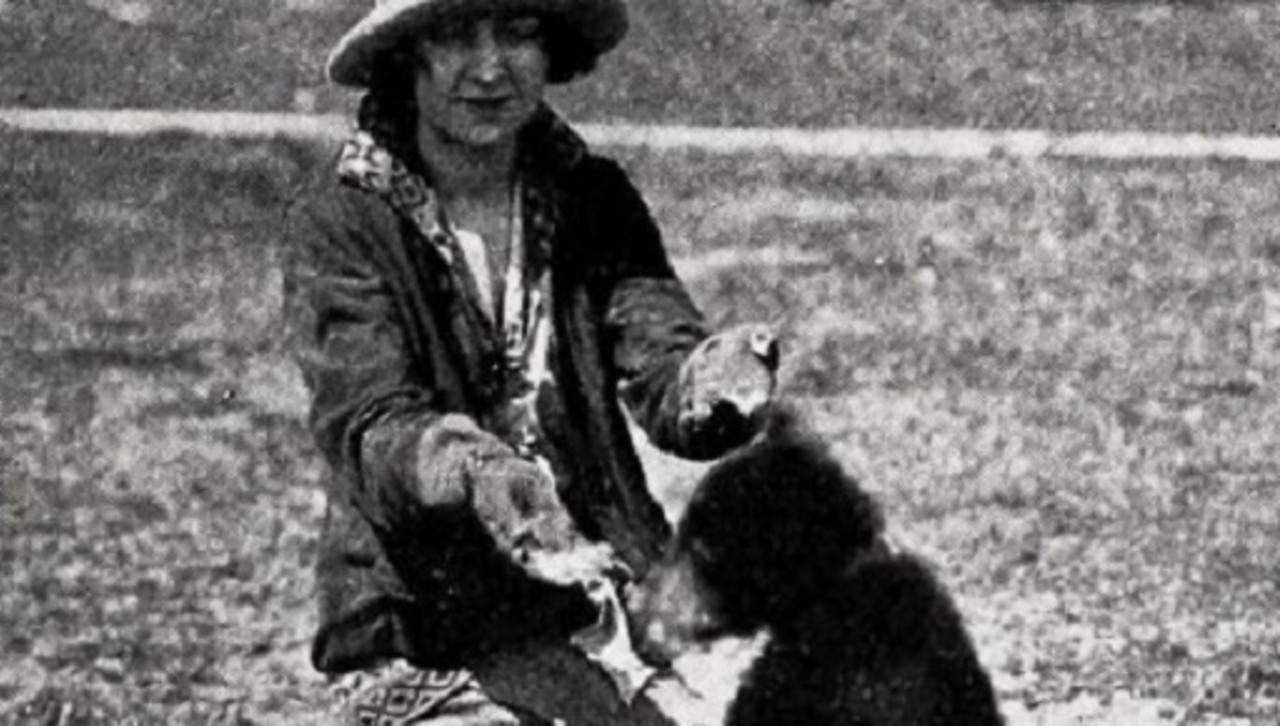 The Knockout (1925) | MUBI