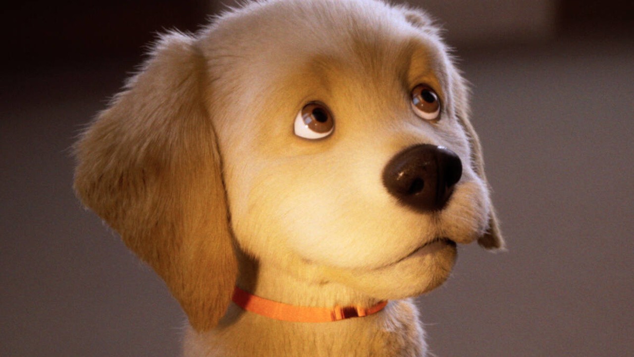 Andy: A Dog's Tale (2022) | MUBI