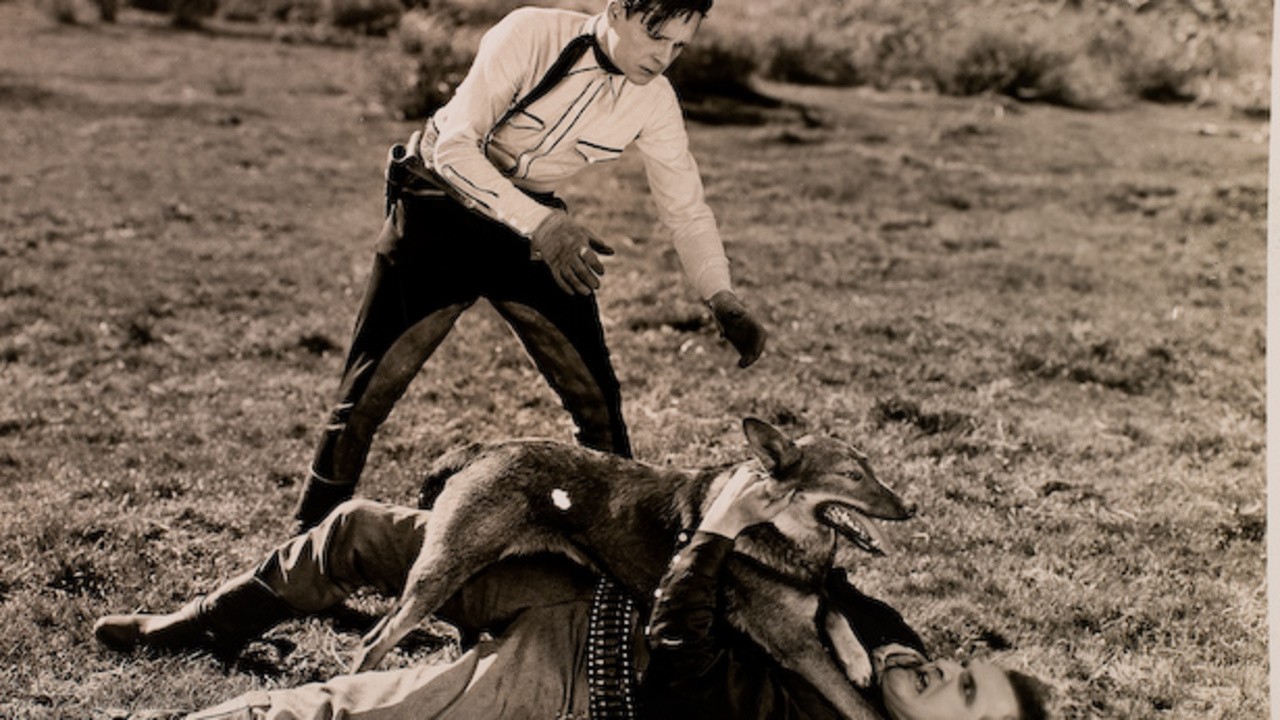 Fangs of Destiny (1927) | MUBI