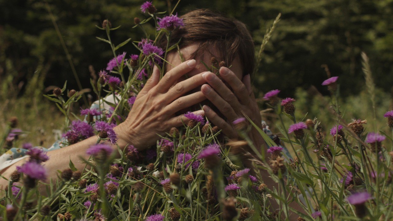 Algorithms of Beauty (2022) | MUBI