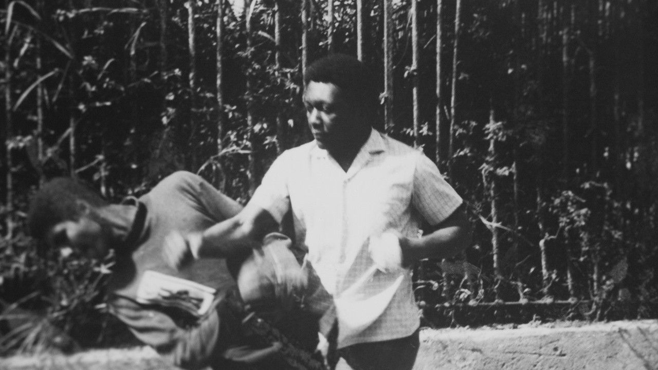 Example # 35 (2022) | MUBI