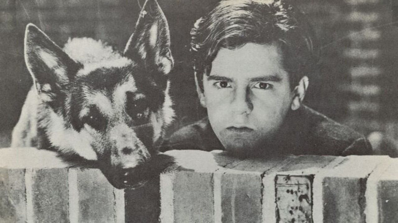 The Wolf Dog (1933) | MUBI