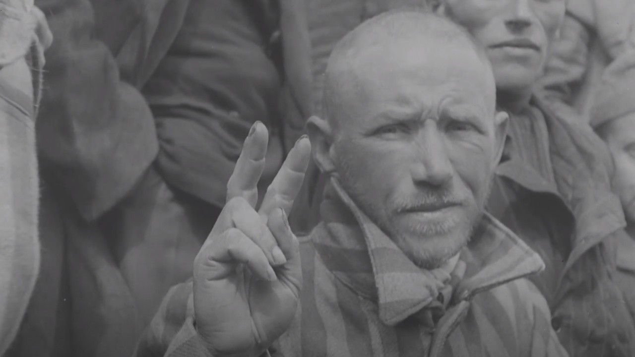 Liberation of Dachau (1945) | MUBI