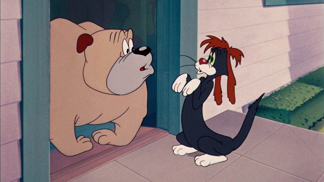 The Counterfeit Cat (1949) | MUBI