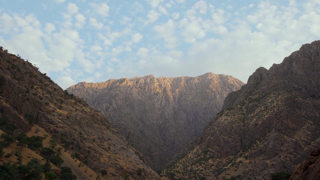 Landscape Suspended 2022 Mubi