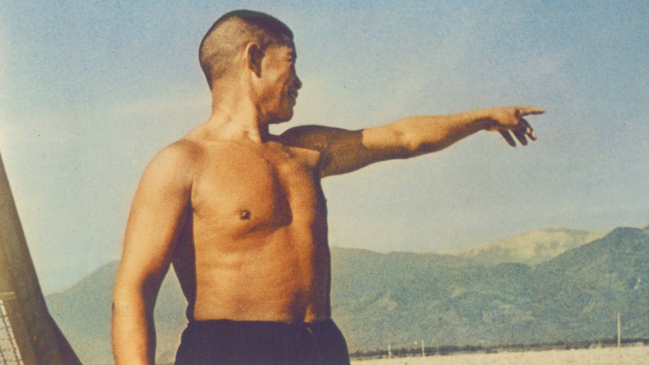 Liu Pi-Chia (1967) | MUBI