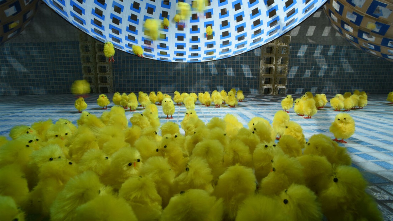 Chick Wash (2022) | MUBI