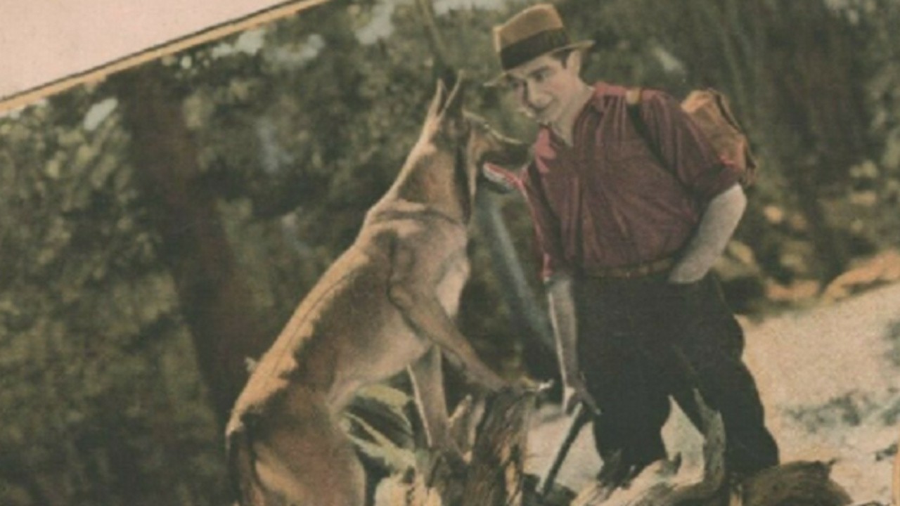 Flaming Fury (1926) | MUBI