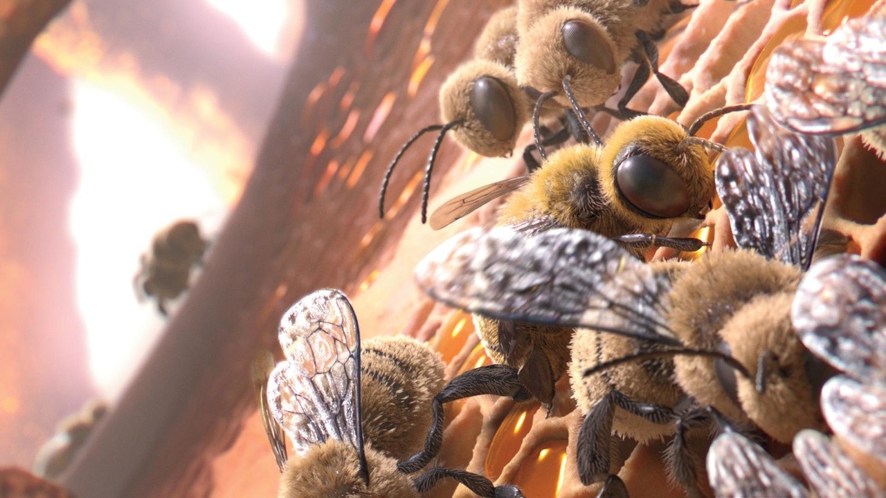 Tear Off (2022) | MUBI