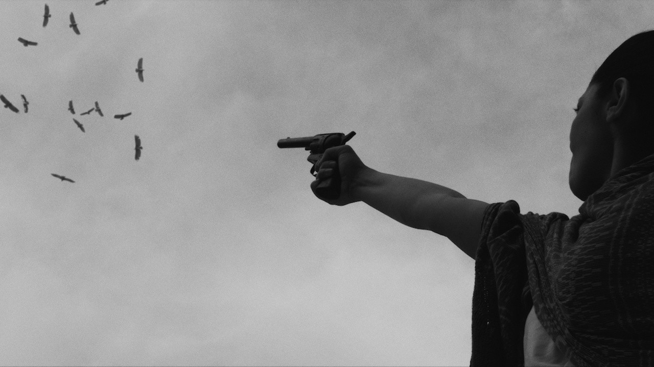 Before the Buzzards Arrive (2023) | MUBI