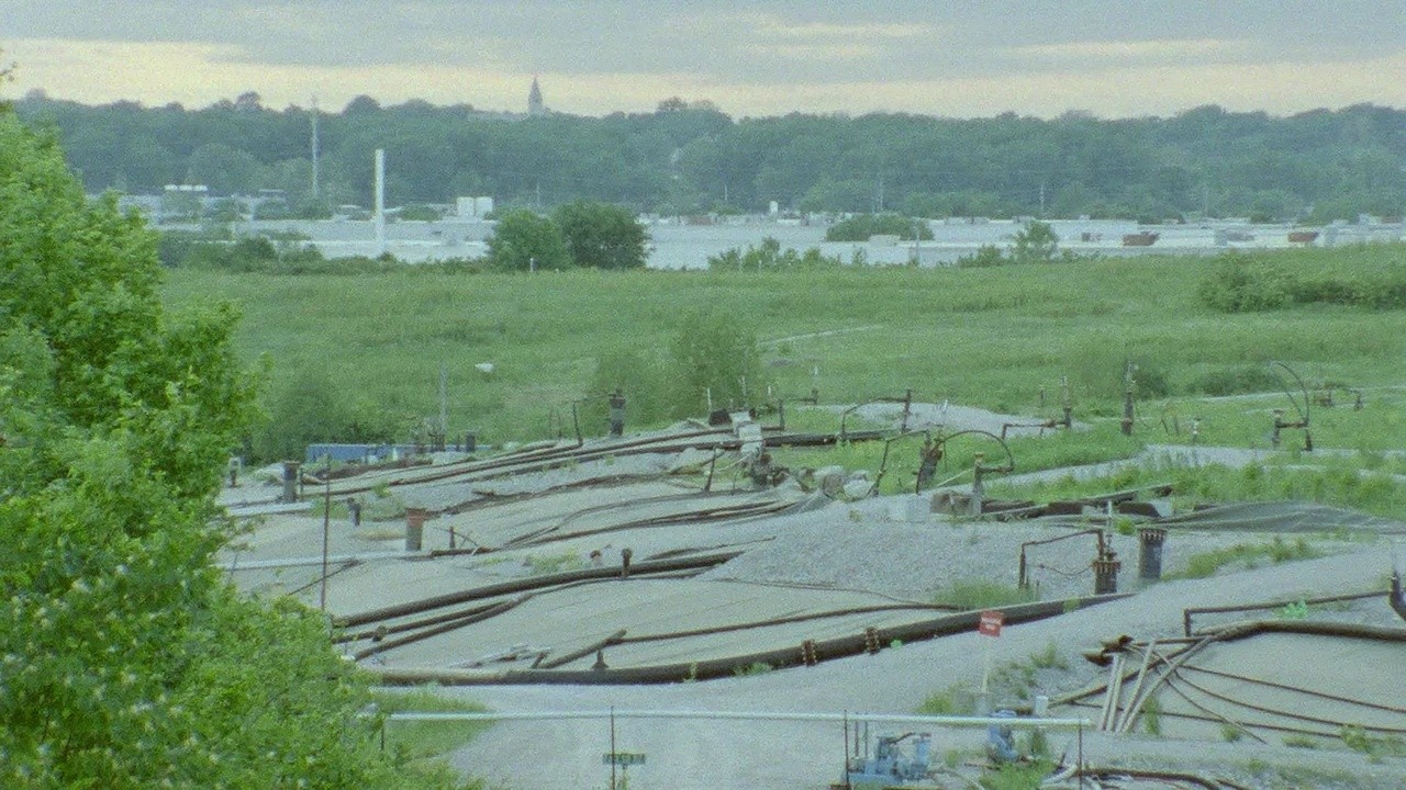 Skin in the Crosswinds (2023) | MUBI