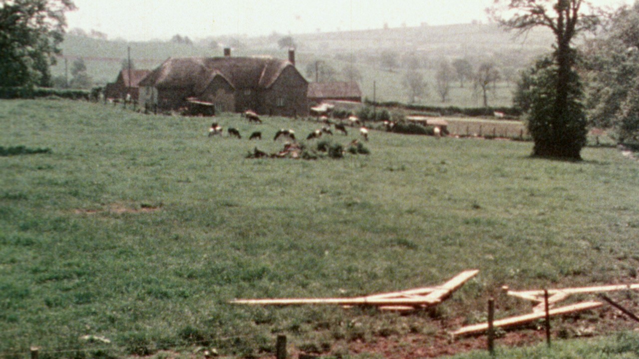 Window (1975) | MUBI