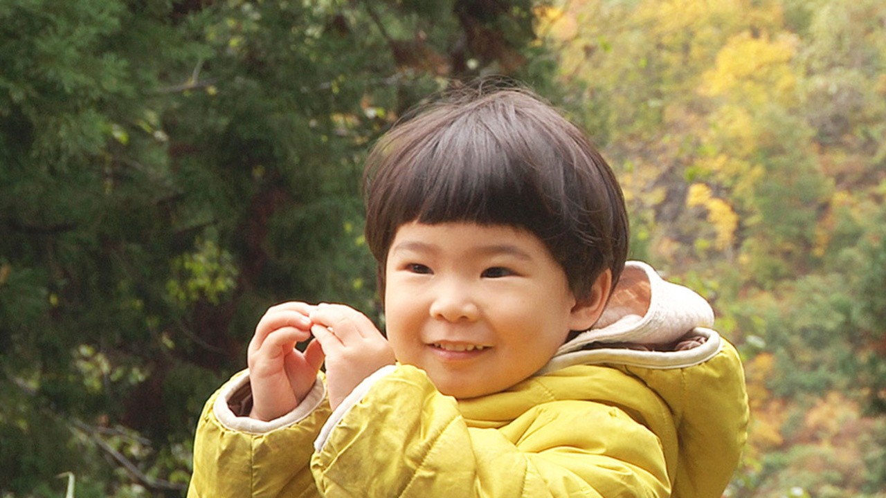 Dryads in a Snow Valley (2015) | MUBI