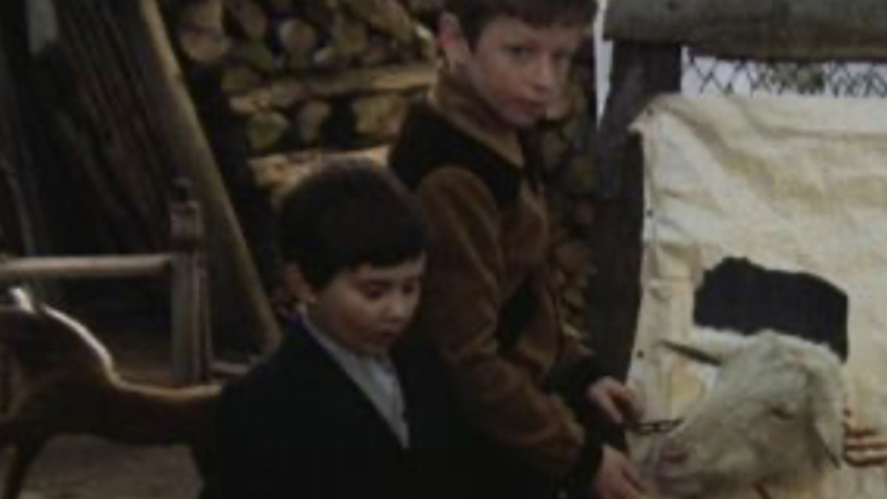 Why Not Believe In Miracles? (1978) | MUBI