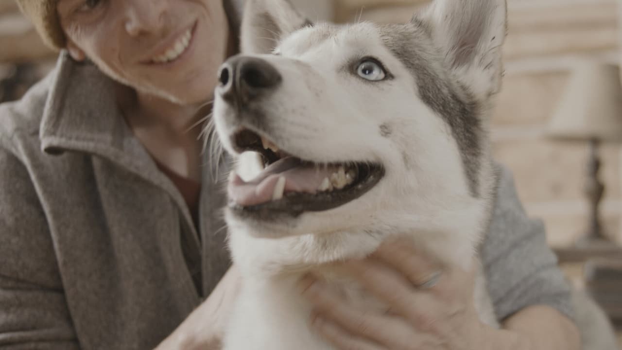 The Year of the Dog (2023) | MUBI