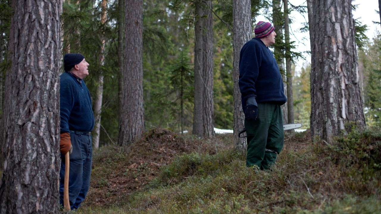 Forest Brothers (2022) | MUBI