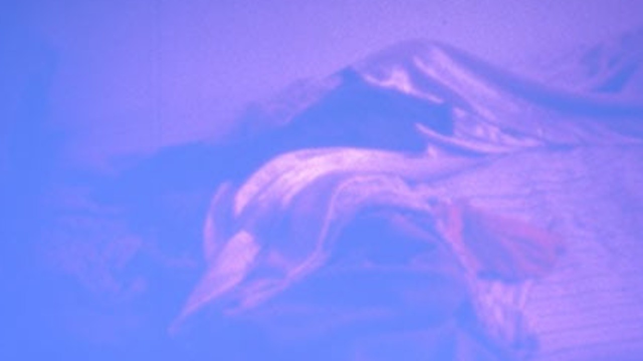 Action at a Distance (1980) | MUBI