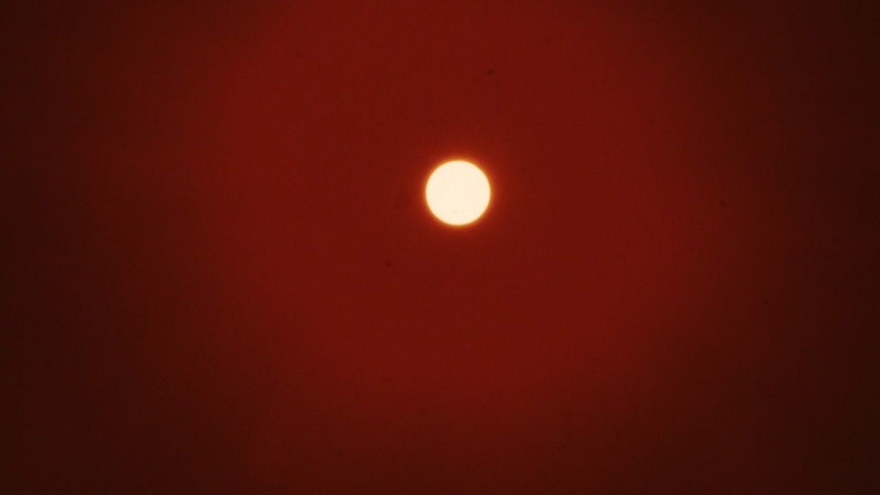 Midas (1976) | MUBI