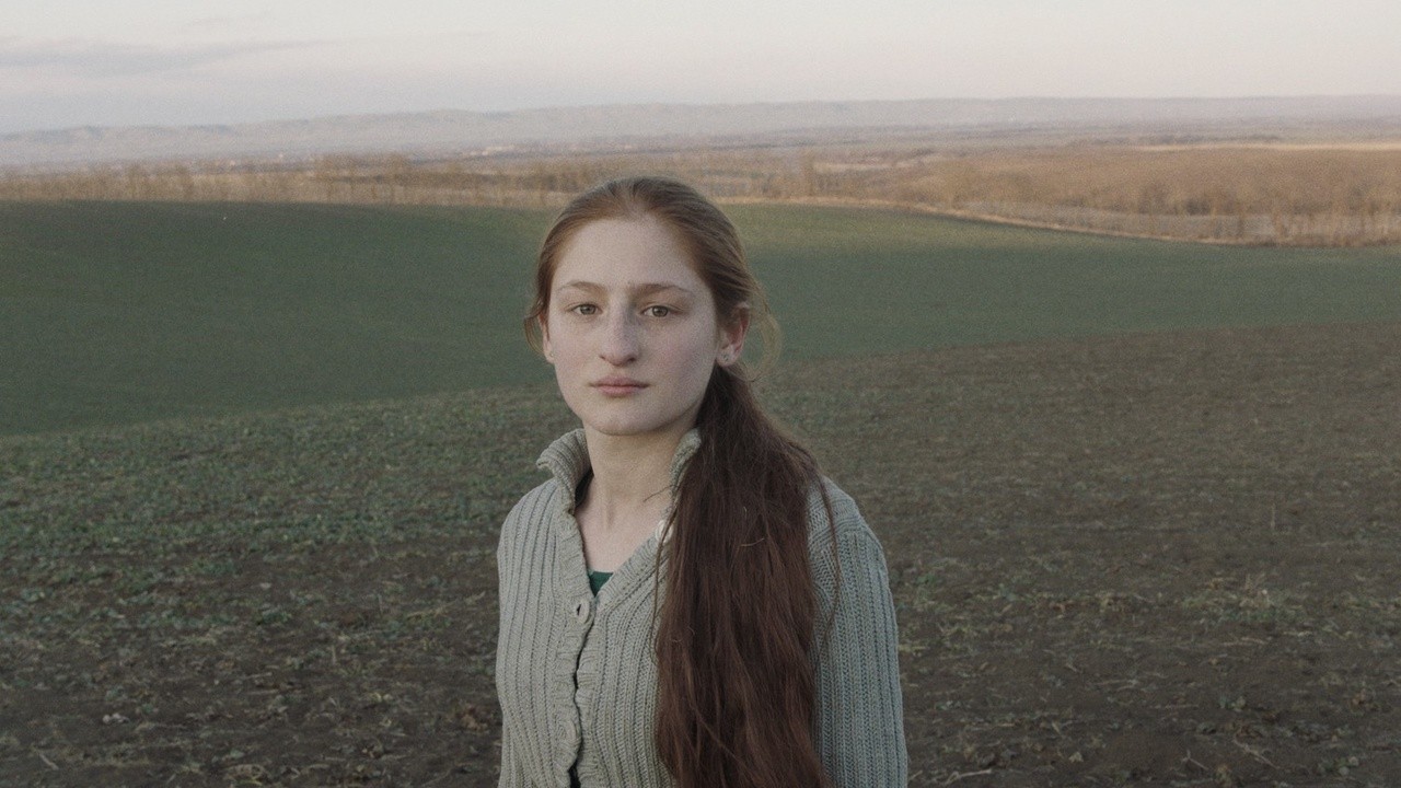 The Cage is Looking for a Bird (2023) | MUBI