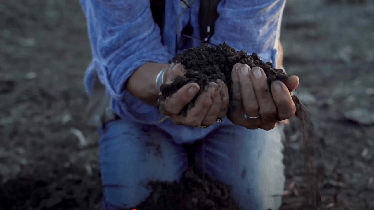 TRAILER - Rachel's Farm (2023)