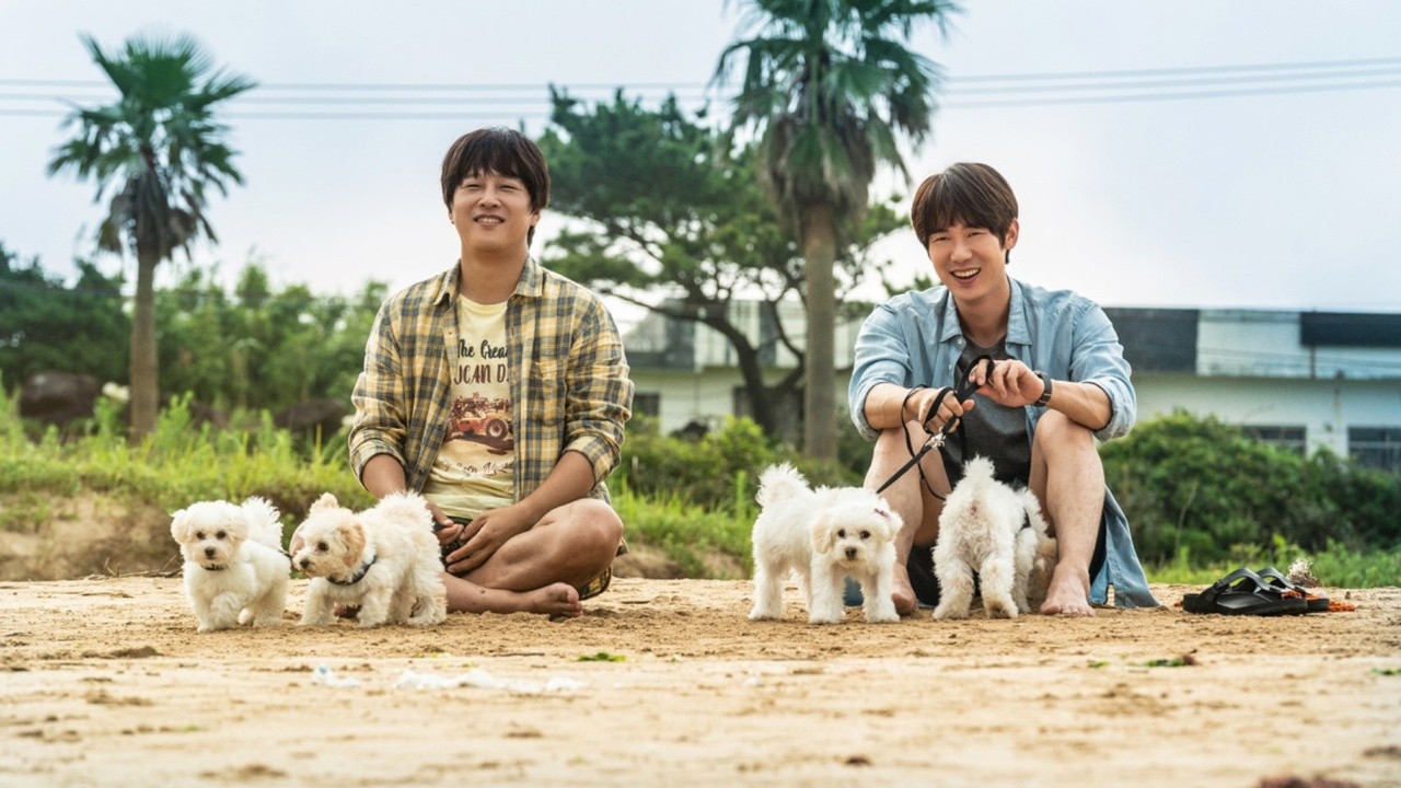 My Puppy (2023) | MUBI