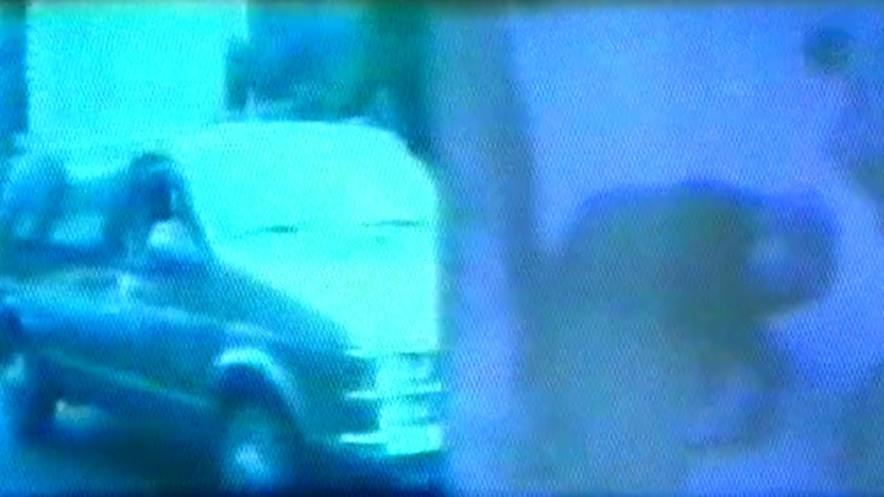 Fuck You Asshole Version 1988 Mubi
