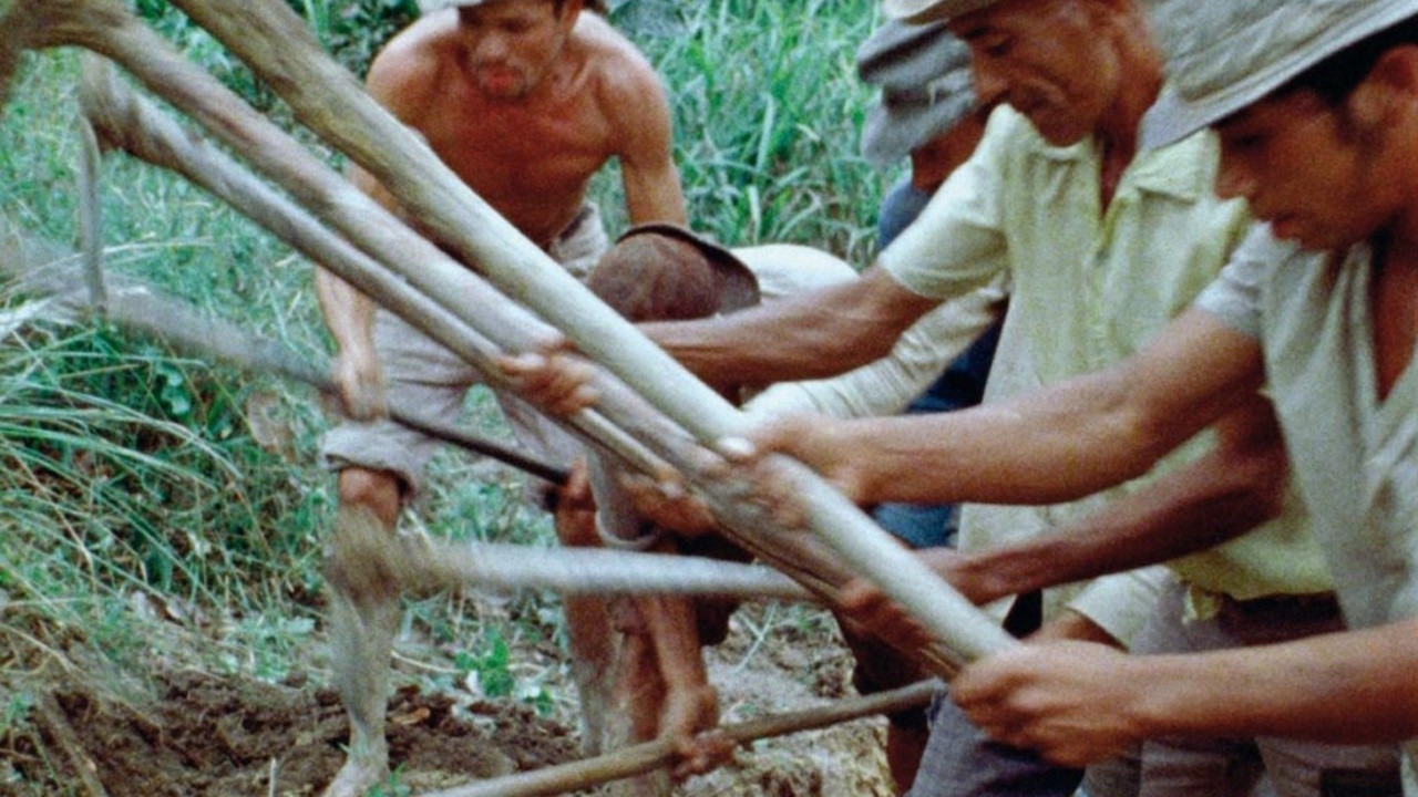 Work Songs - Mutirão (1975) | MUBI