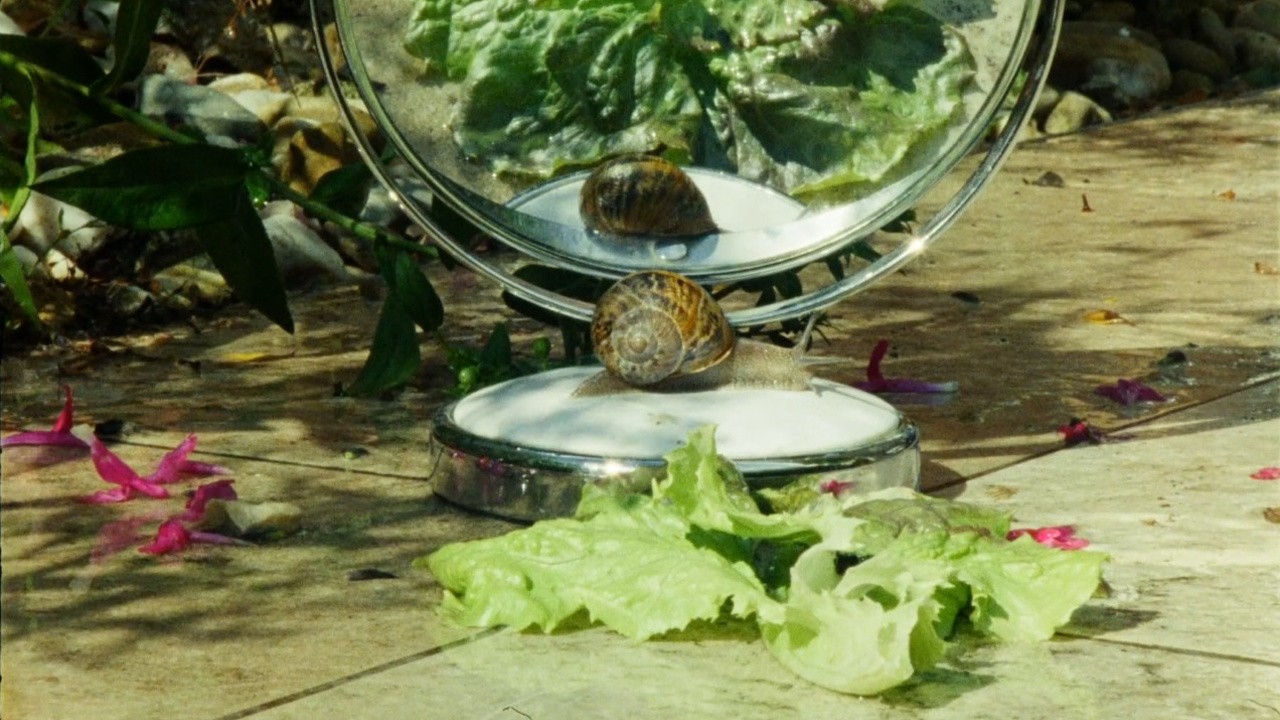 Saintonge Roundabout (2023) | MUBI