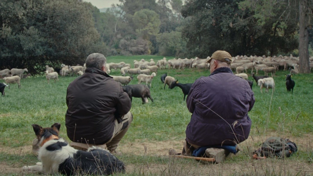 TRAILER - Fauna (2023)